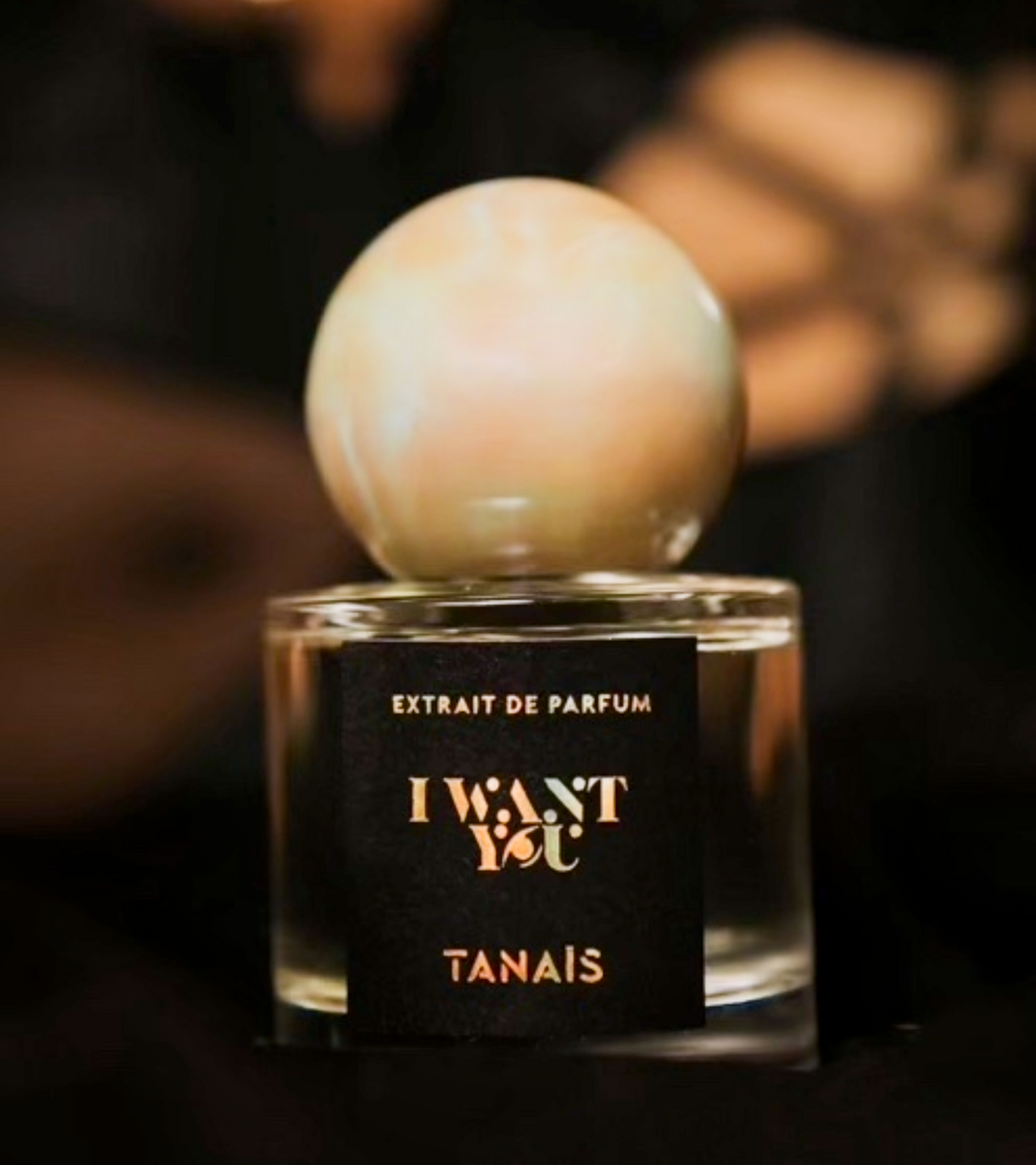 I Want You by Studio Tanaïs | Bengali Oud Extrait Perfume – SAINTE CELLIER